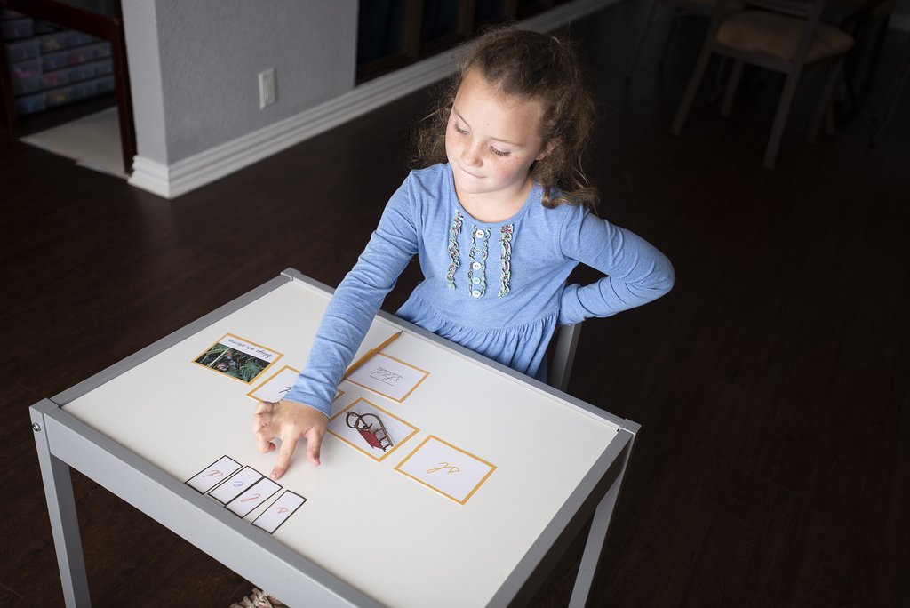 Complete Montessori Curriculum – Multisori